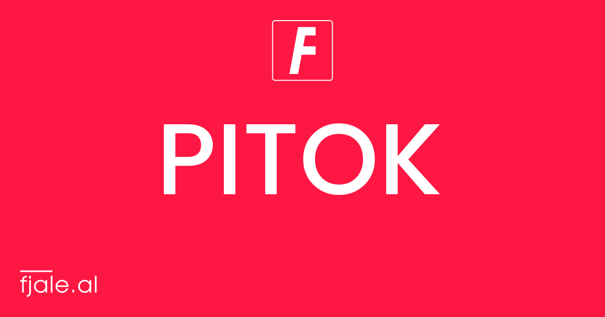Pitok ‹ kuptimi ‹ FJALË